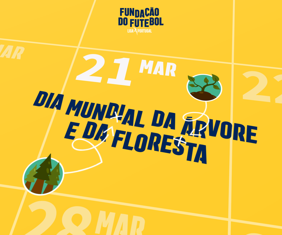 Dia Mundial da Árvore e da Floresta